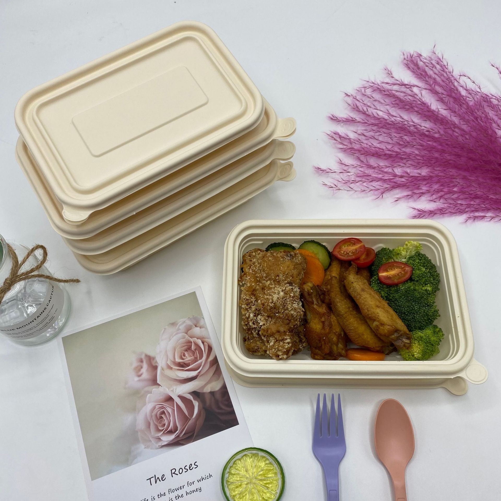 Eco Friendly Biodegradable Disposable Packaging Cornstarch Corn Starch